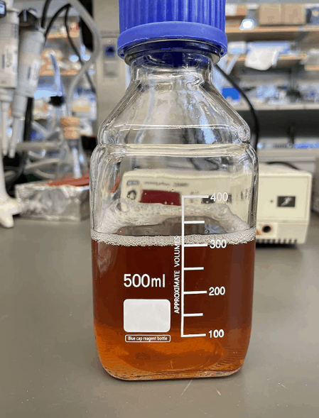 square bottle with GL45 screw cap HPLC-HPLC Vials Supplier